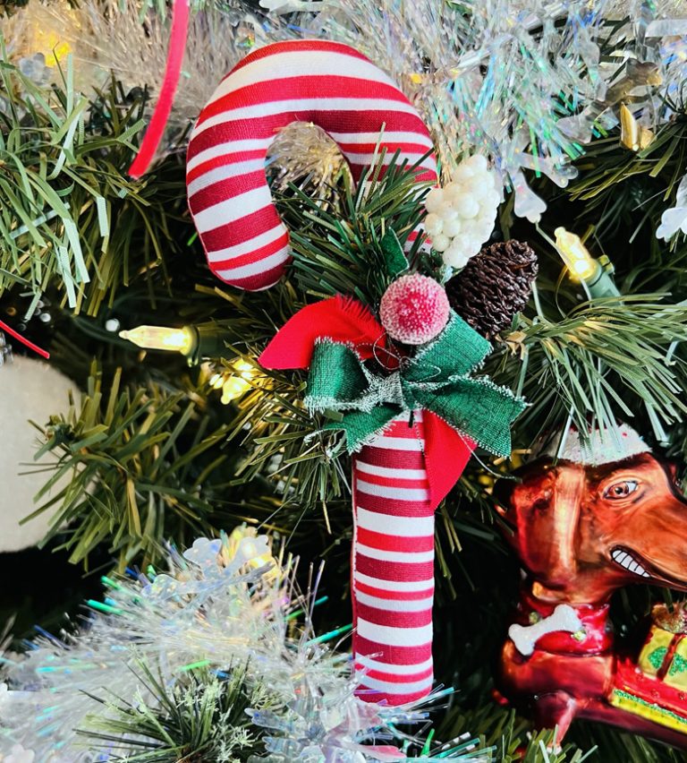 In the Hoop Candy Canes | Embroidery Garden